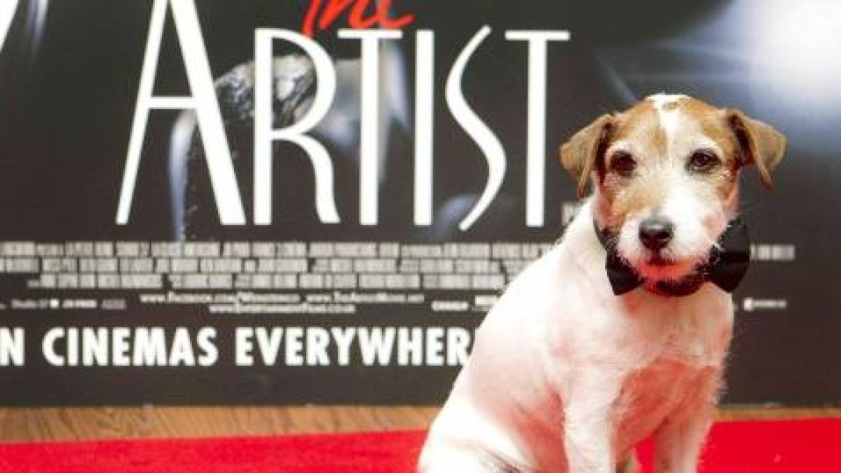 Muere el perro Uggie, conocido por «The Artist»