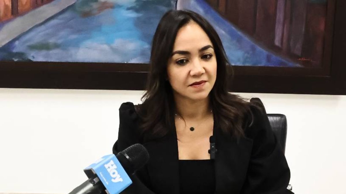 Faride Raful: ¿qué enfrentarían lo demandados por la ministra?