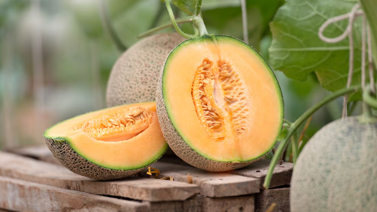 Melón: estos son sus poderosos beneficios para tu salud