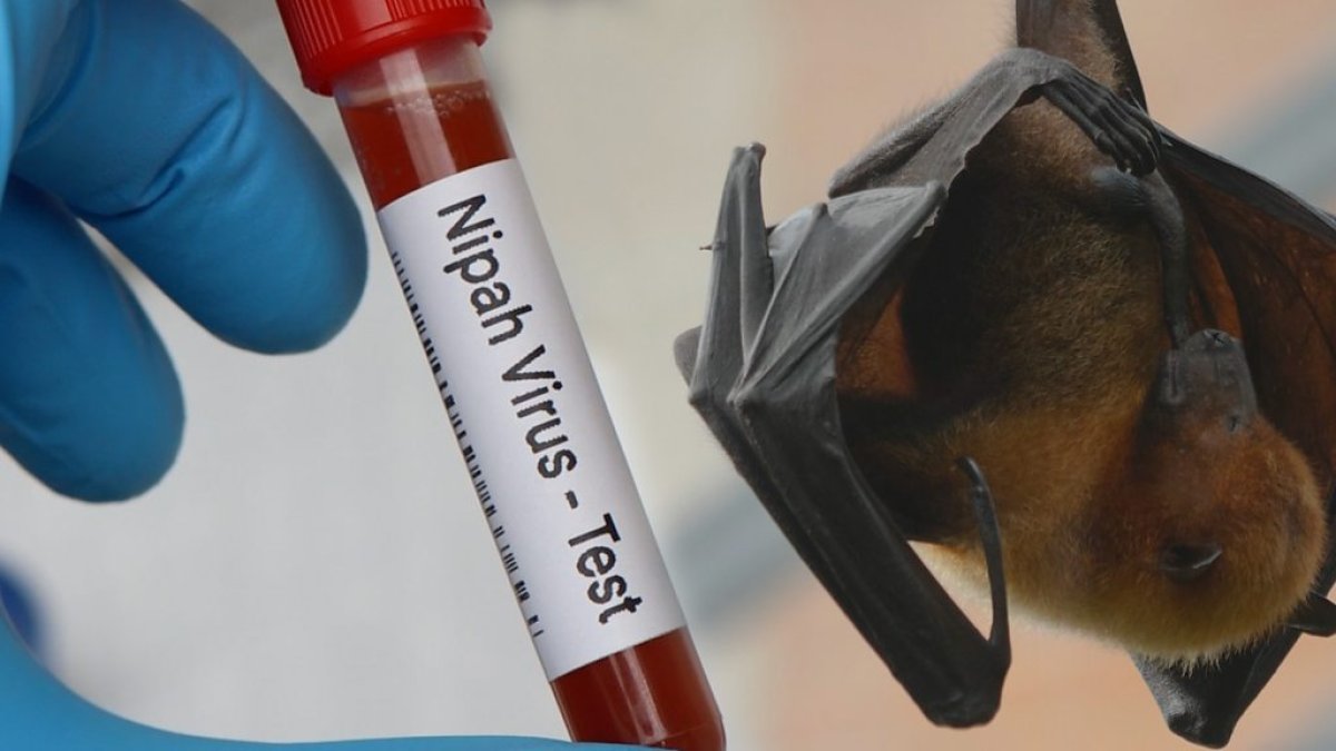 India asegura control sobre el virus Nipah
