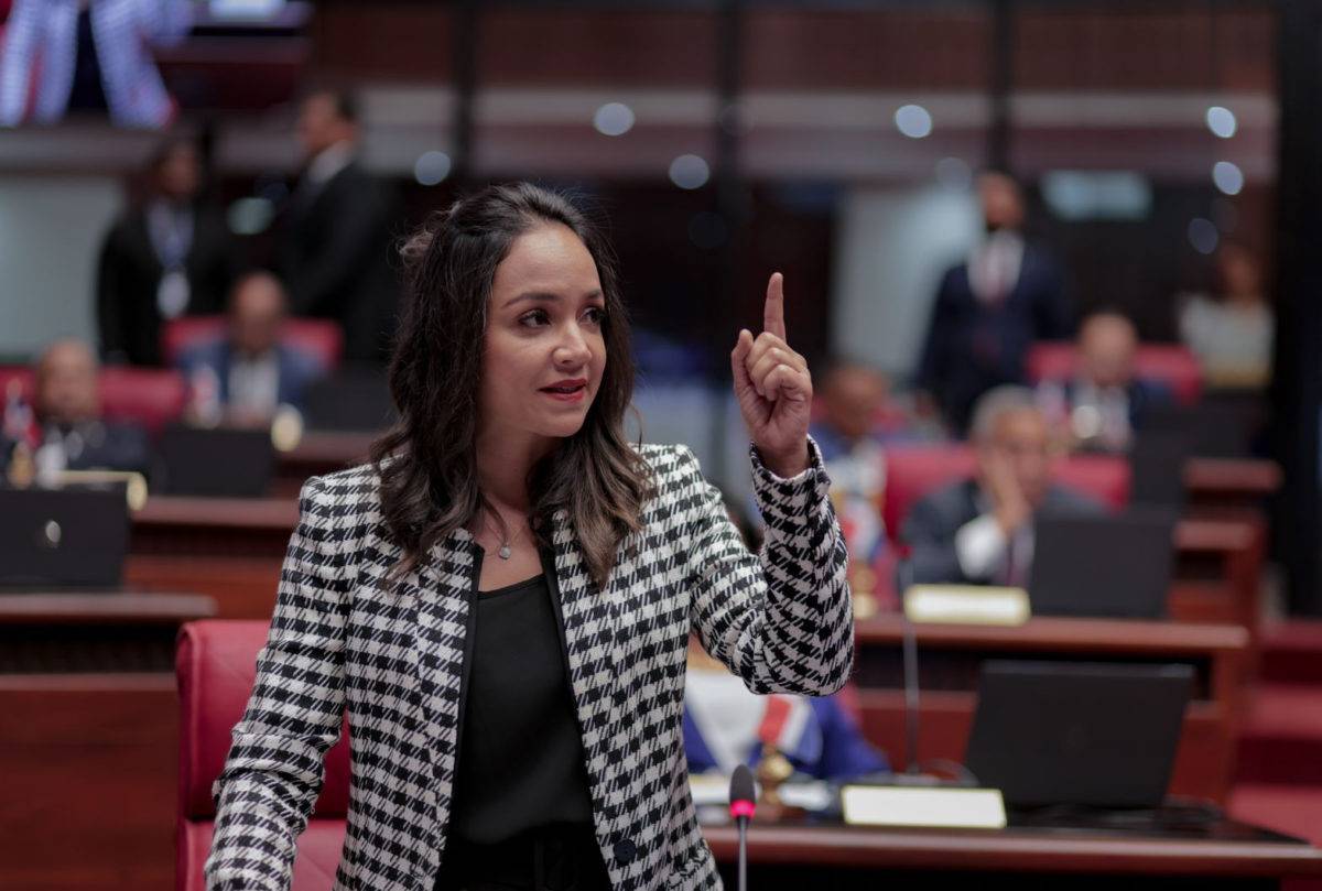 Faride Raful le recuerda al PLD cuál partido «atentó contra la democracia»