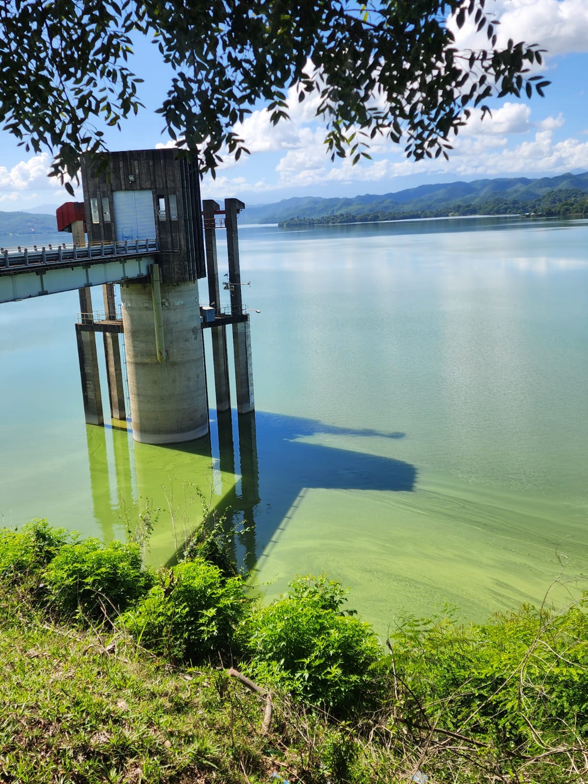 Presa de Hatillo: qué está pasando con la contaminación y cómo afecta a ...