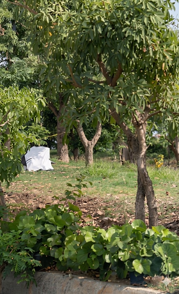 Hallan el cadáver de un hombre debajo de un árbol en la avenida Ecológica